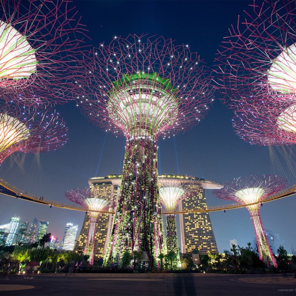 Solar powered Supertree give Singapore a futuristic look.