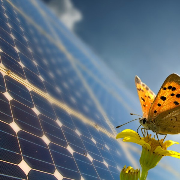 Solar cell efficiency 5 times better due to Australian engineers